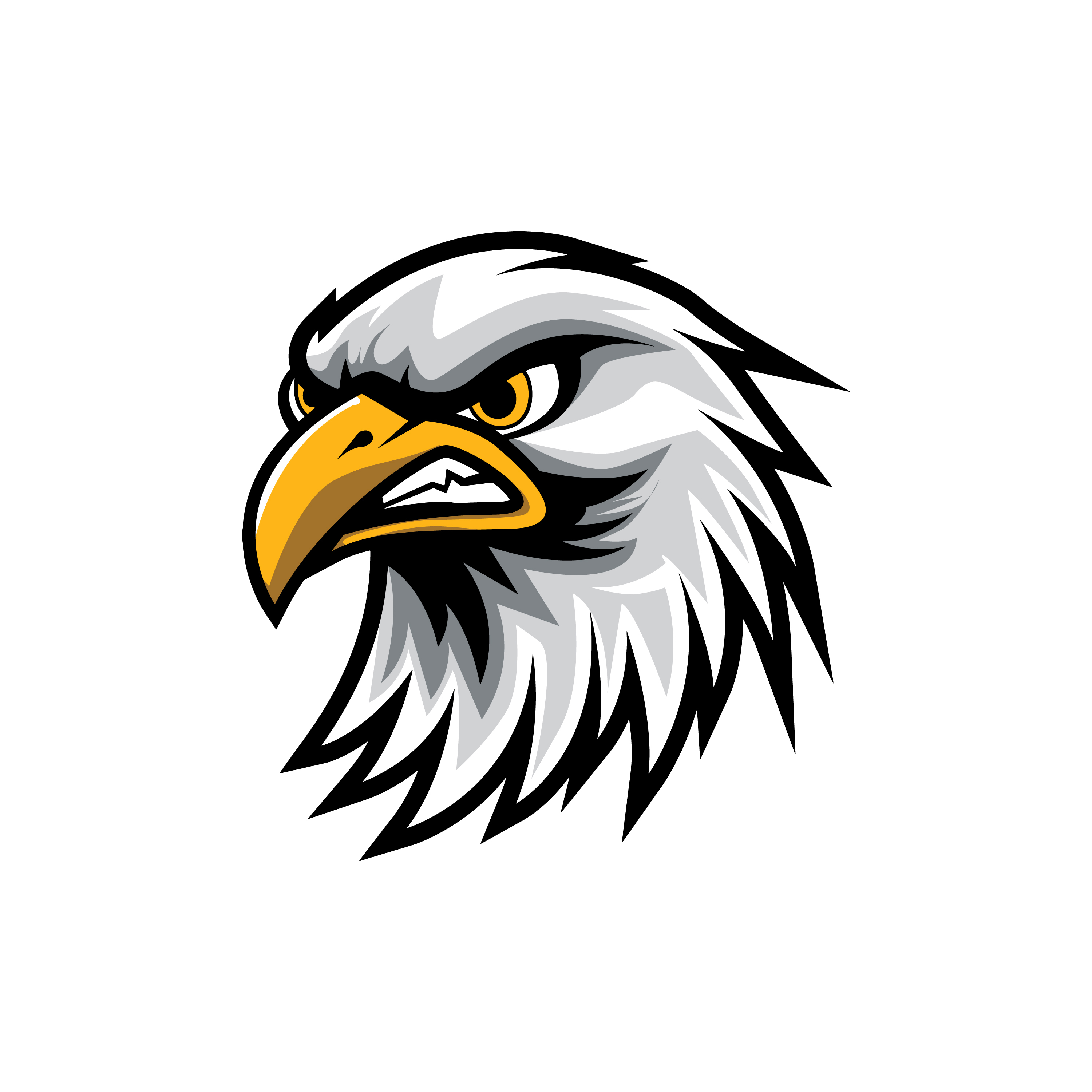 The Nation Youth Football League