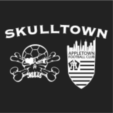 New York Metropolitan Women's Soccer League