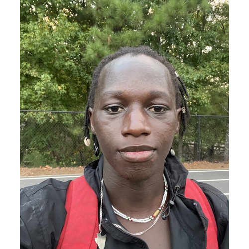 Atlanta District Amateur Soccer League