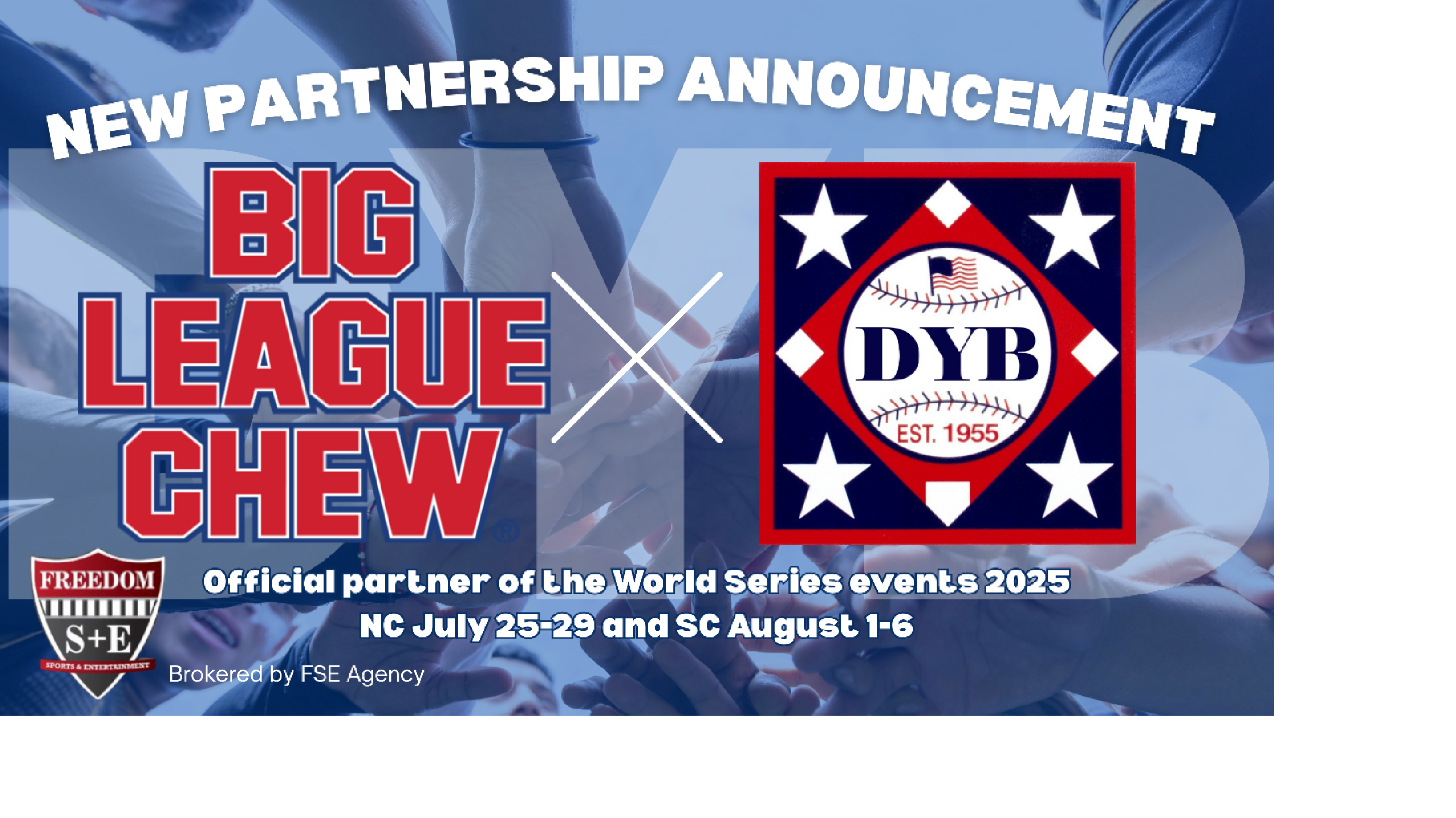 Dixie Youth Baseball - Virginia
