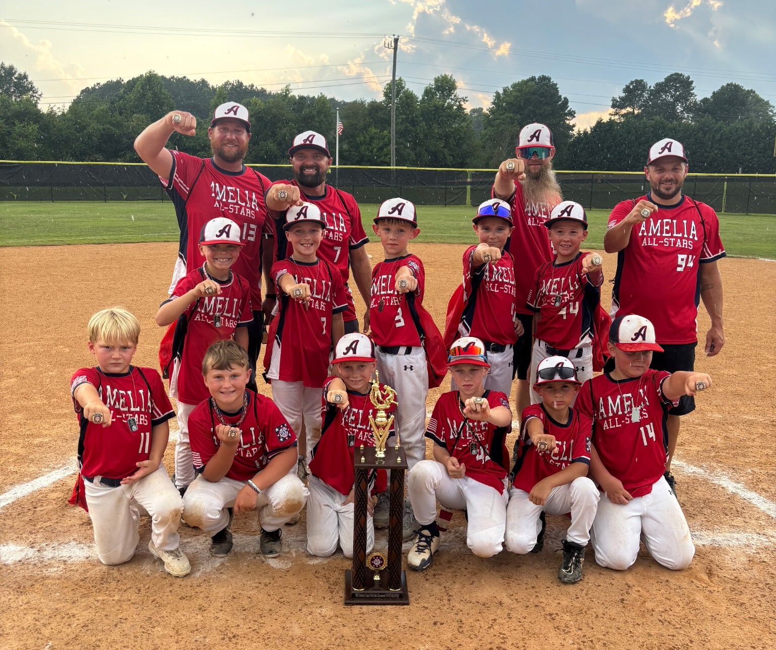 Dixie Youth Baseball - Virginia