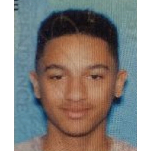 GPSL Over 19